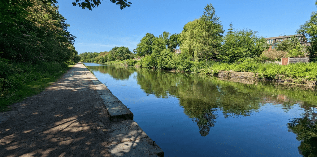 Donation Thank you - MBBCS